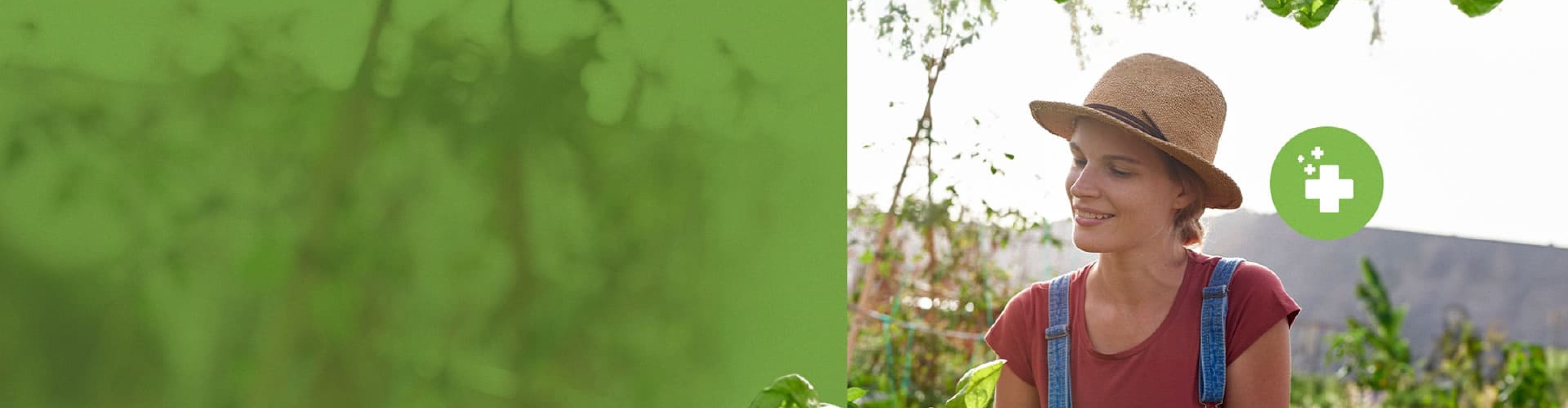 Besttem | Besttem Üyelik Üye Giriş Online Katalog